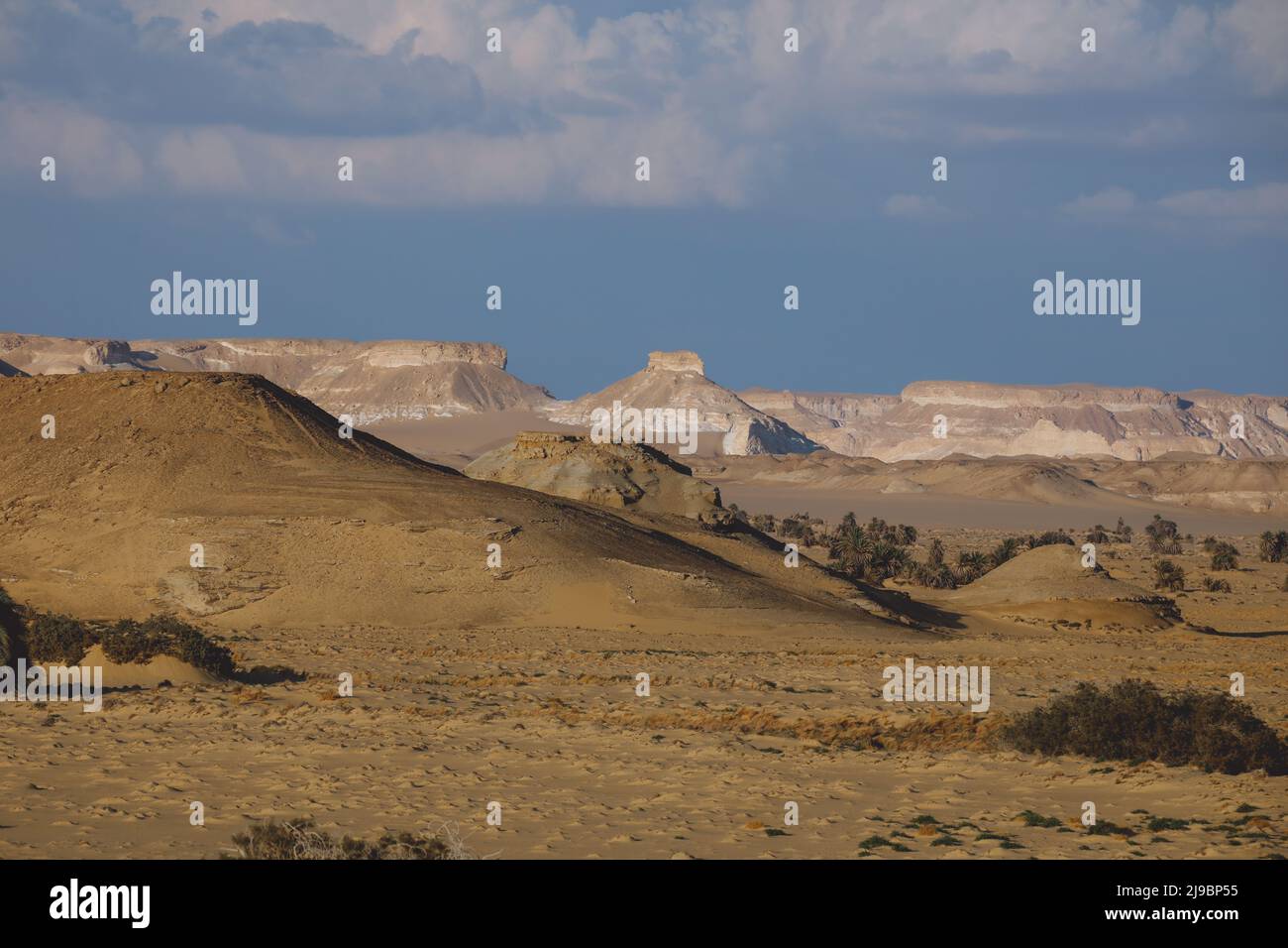 Landscape View of the White Desert Protected Area in the Farafra Oasis ...