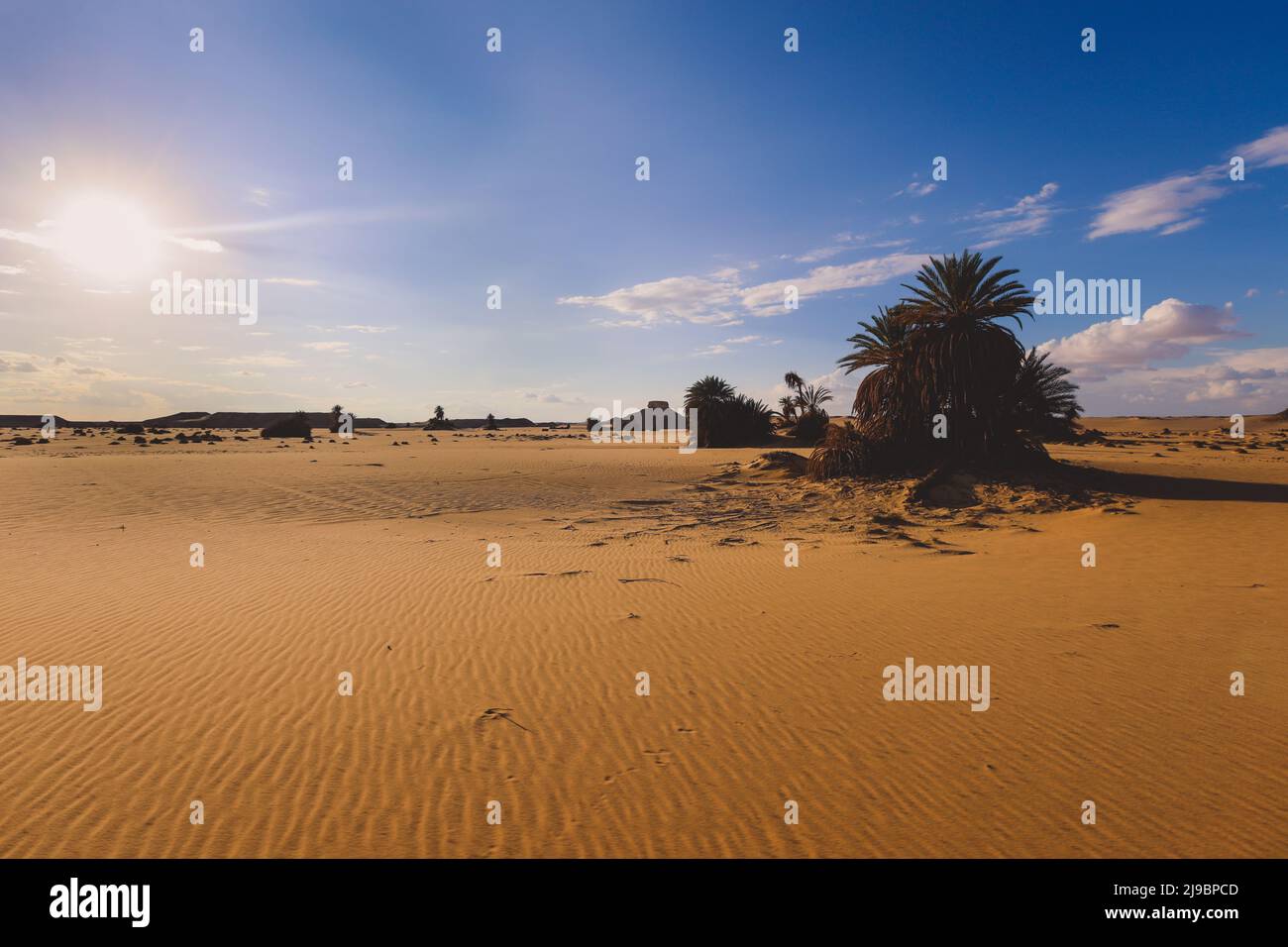 Landscape View of the White Desert Protected Area in the Farafra Oasis ...