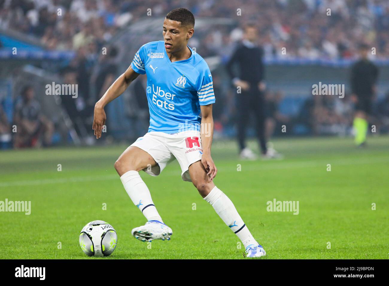 Amine harit om hi-res stock photography and images - Alamy