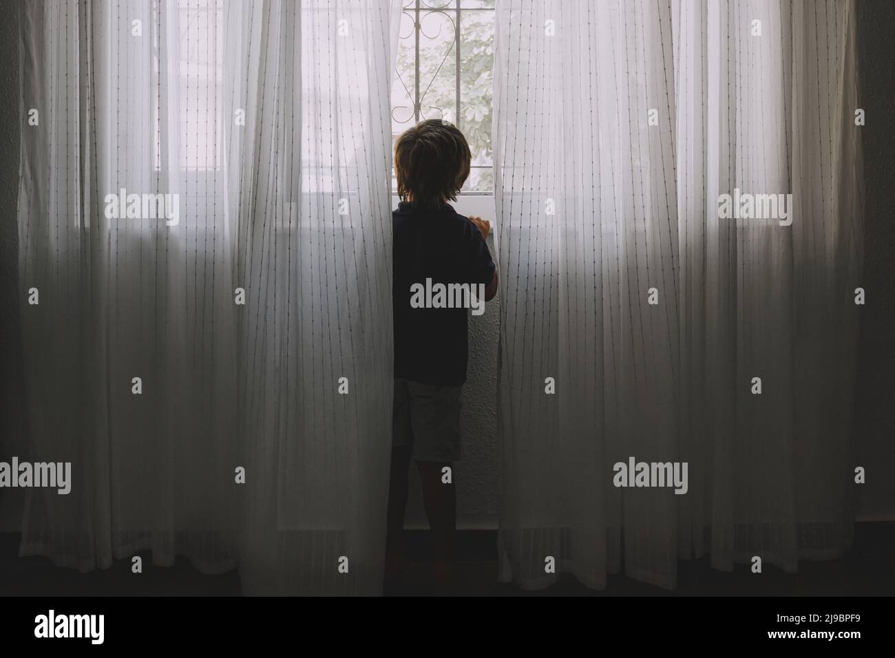 The boy looks out the window, hung with light curtains Stock Photo - Alamy