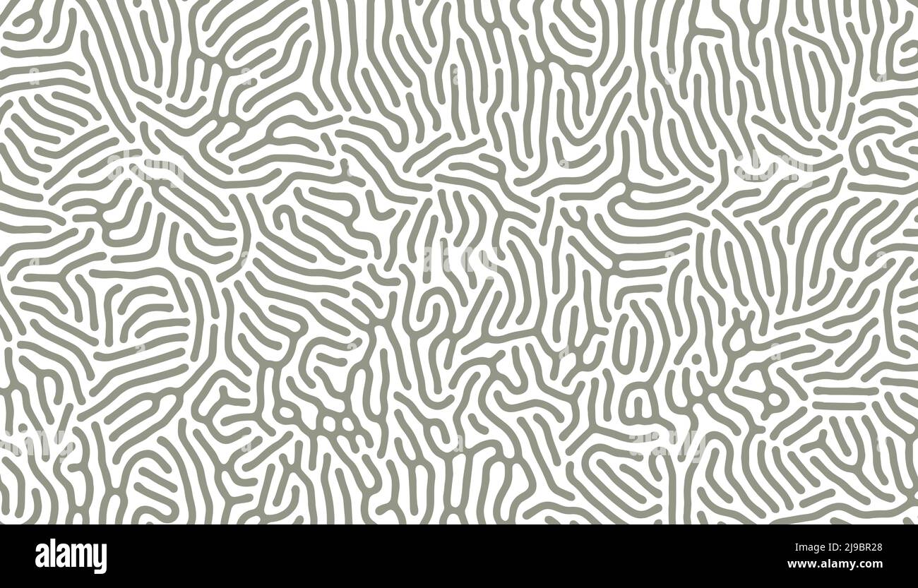 Organic Lines In Nature