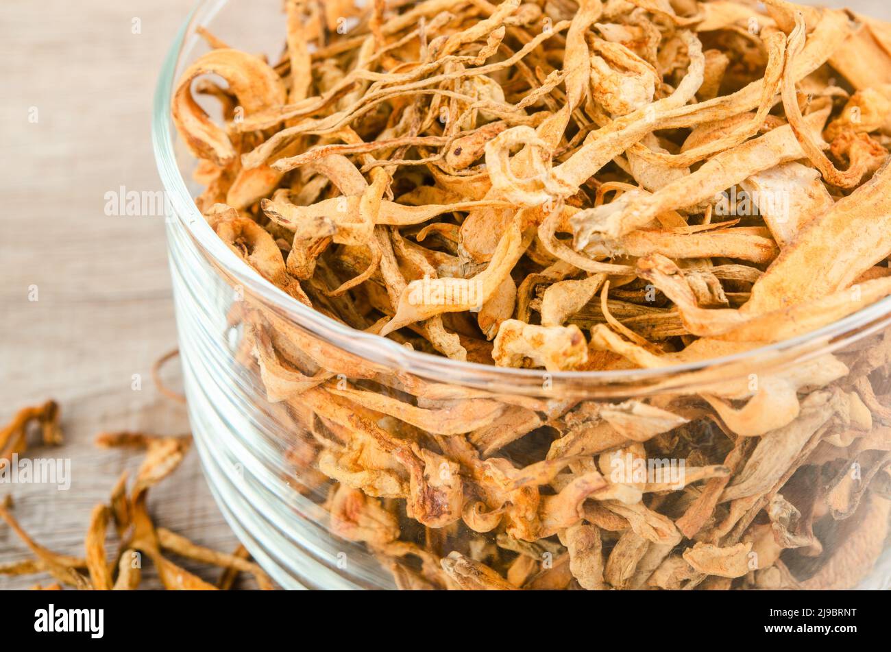 Cordyceps flower hi-res stock photography and images - Alamy