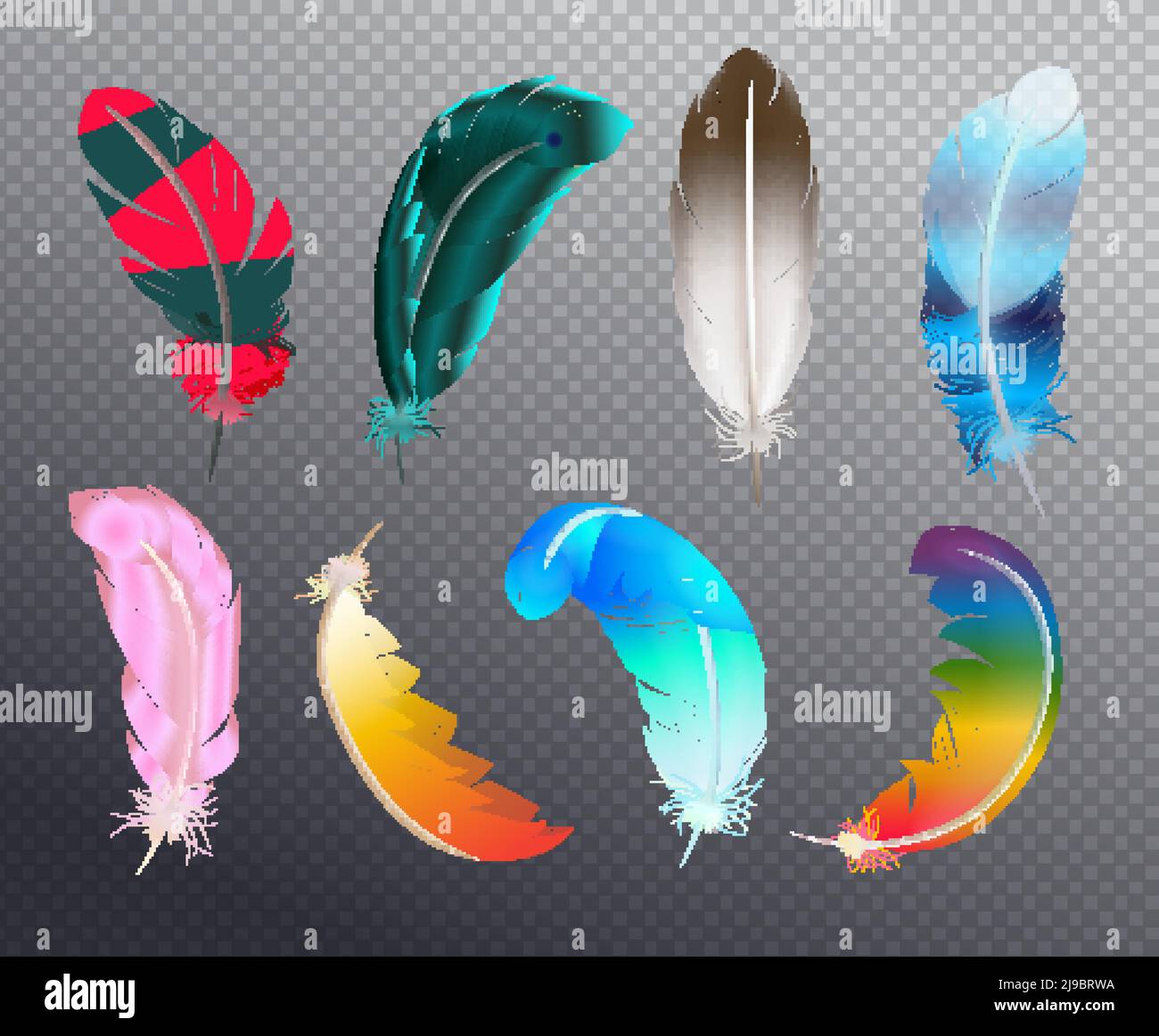 Colorful realistic set of bird feathers painted in different patterns ...