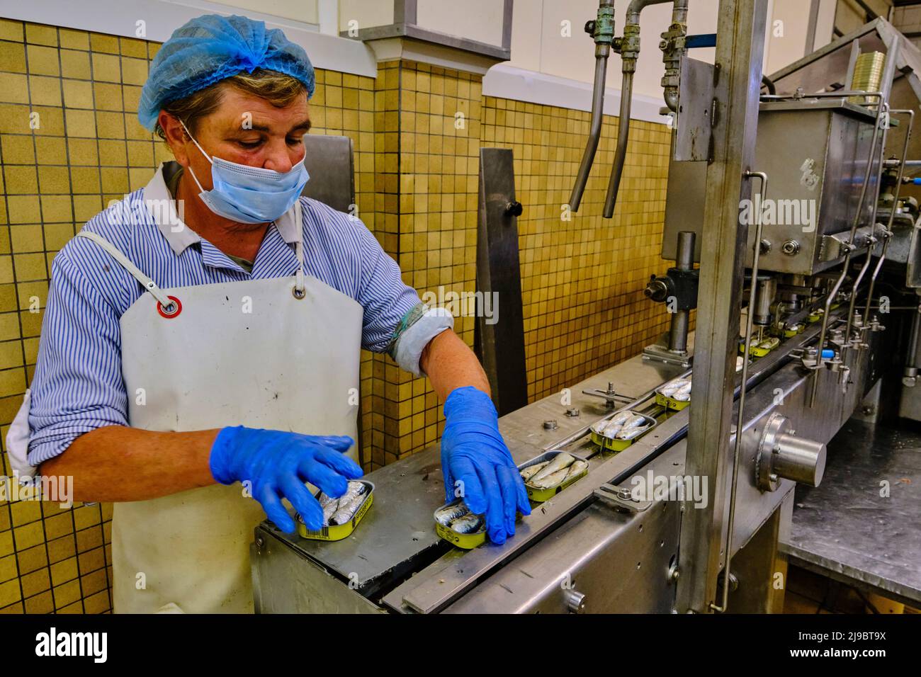 France, Morbihan (56), Quiberon, La Quiberonnaise sardine cannery Stock ...