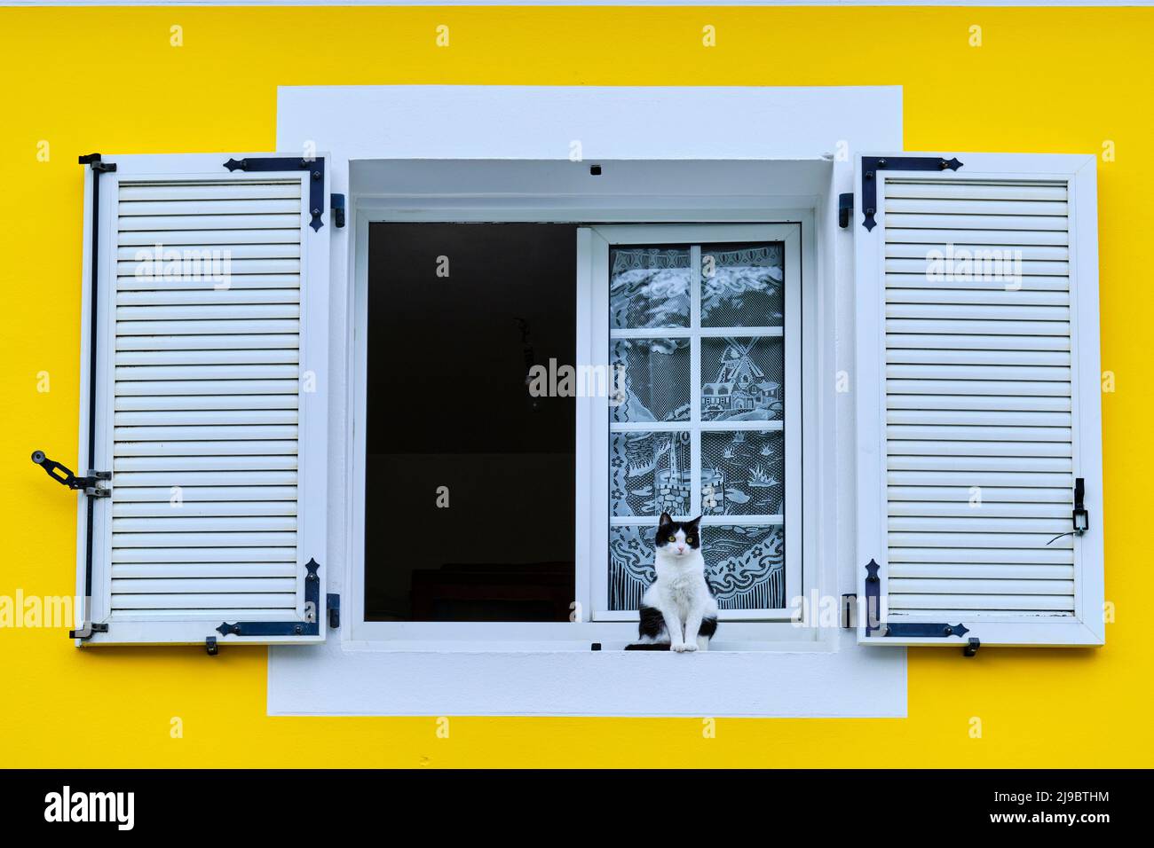 France, Morbihan, Belle-Ile-en-mer, Sauzon, cat Stock Photo - Alamy