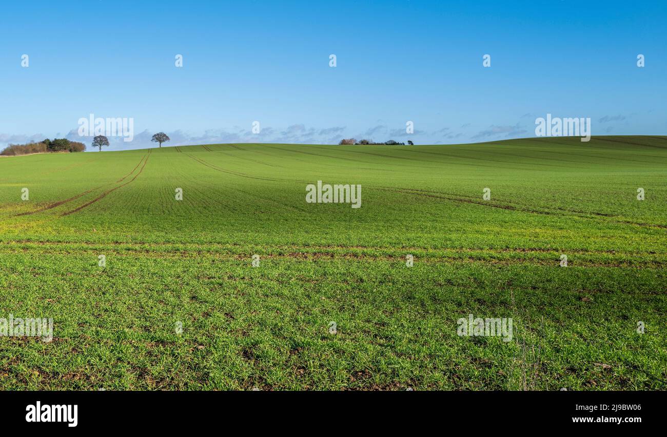 Arable view hi-res stock photography and images - Alamy
