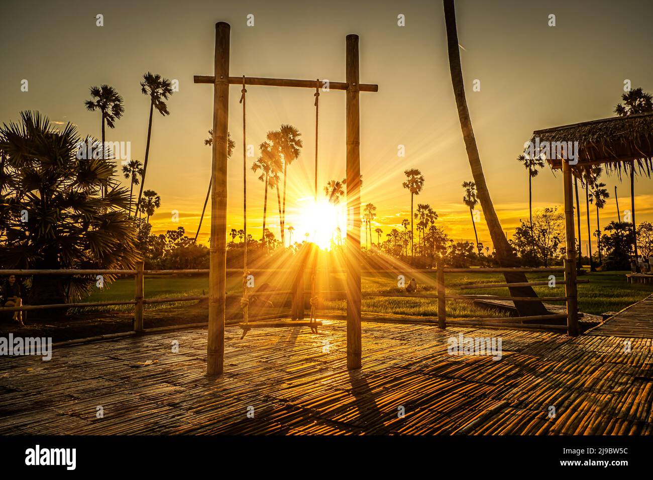 silhouette Empty swings at sunset time tropical landscape nature ...