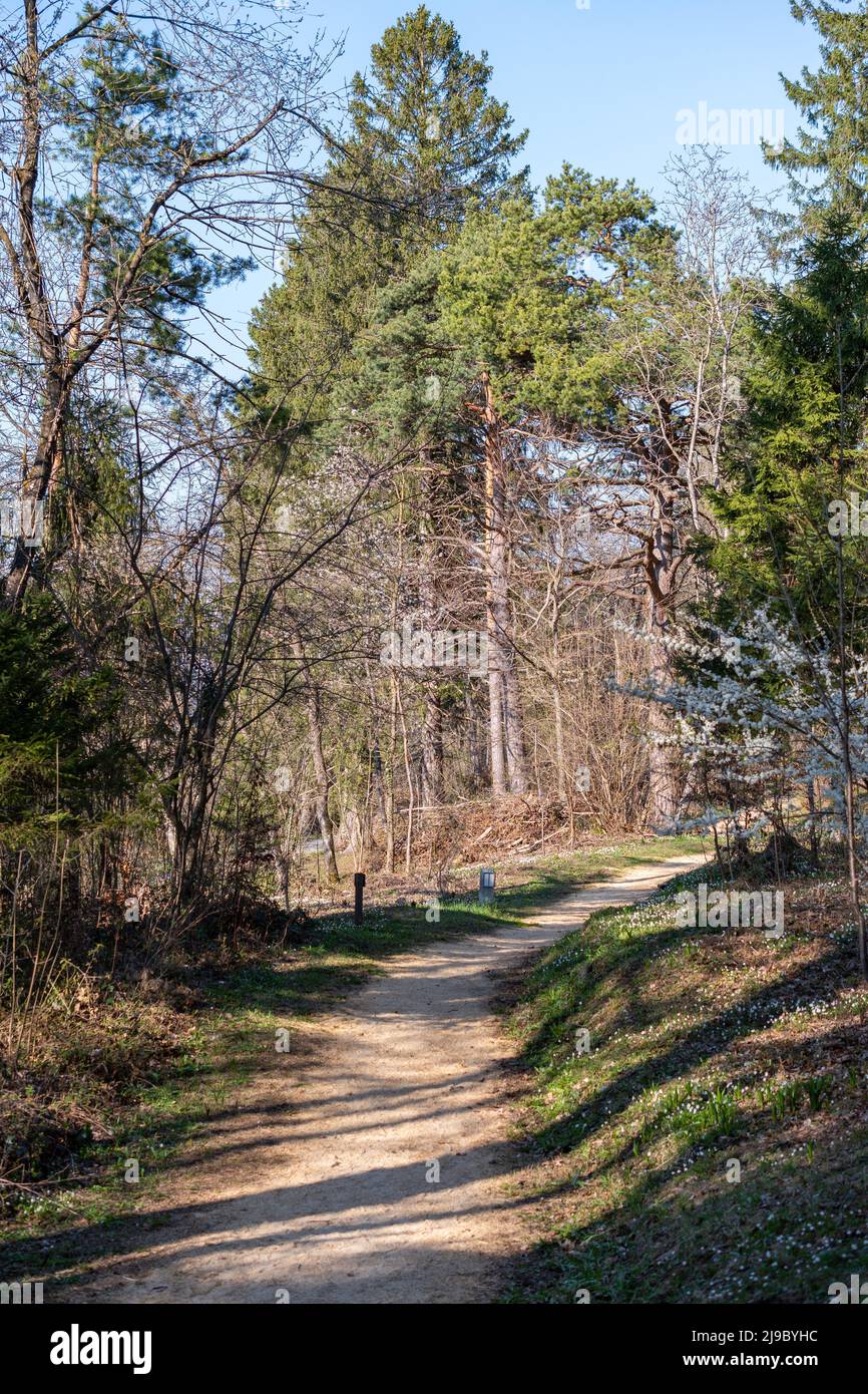 Pedestrian walkway 4 hi-res stock photography and images - Alamy
