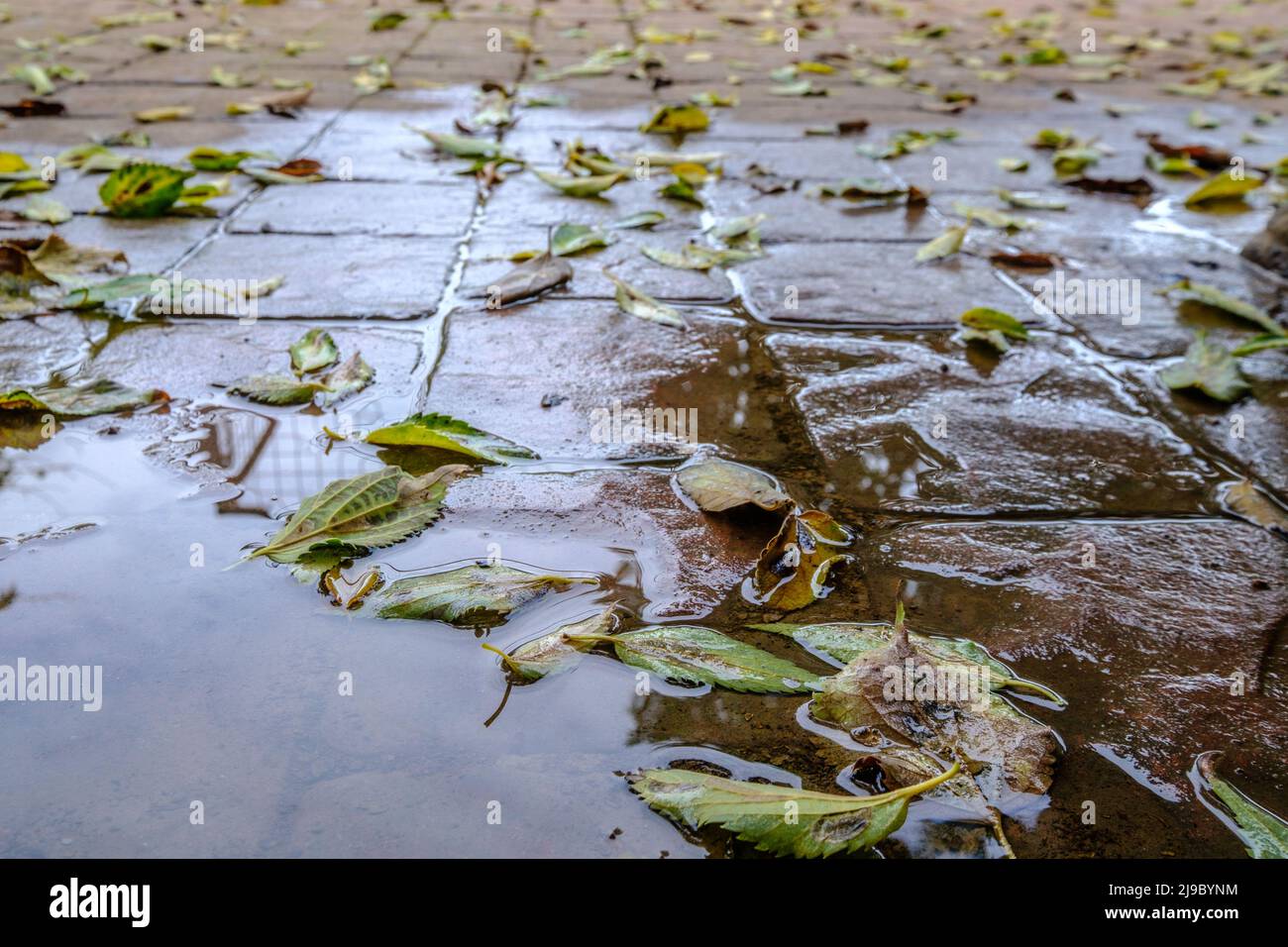 stamped concrete pavement, waterproof outer cement coating wet water ...
