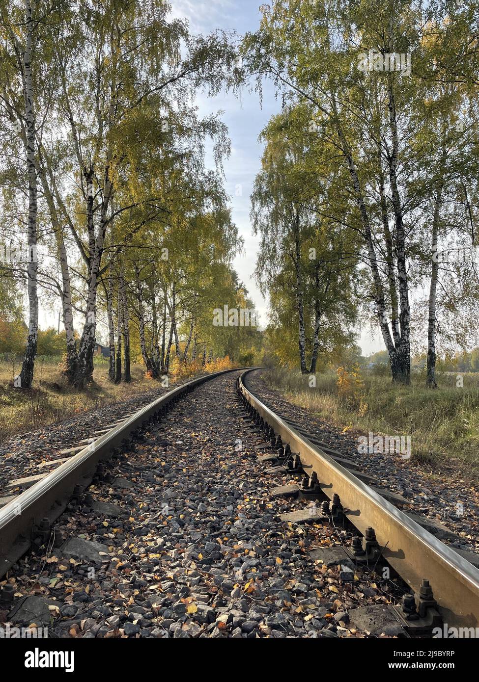 Railroad tracks road in middle hi-res stock photography and images - Alamy