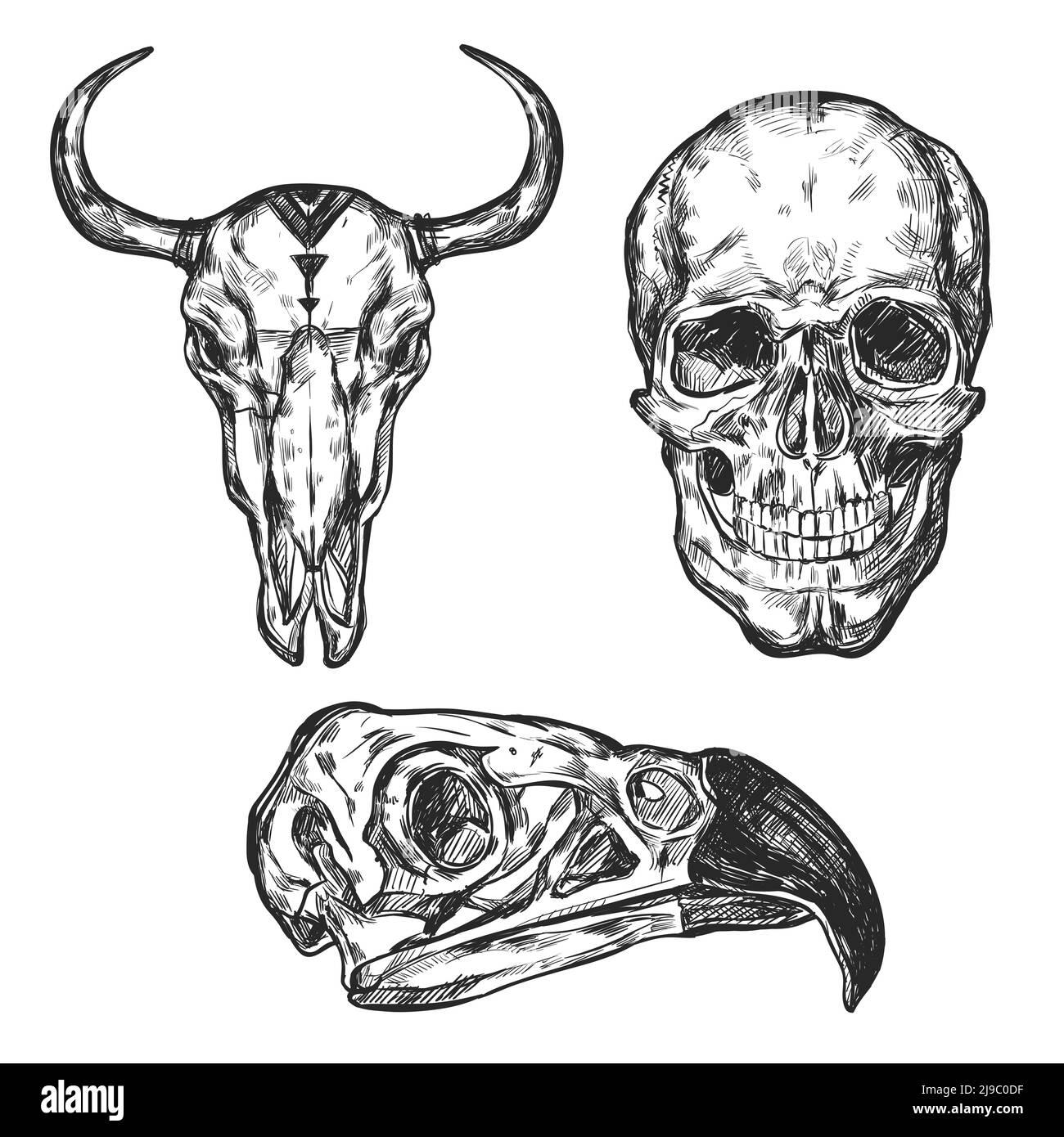 Black isolated hand drawn different types skull icon set on white ...