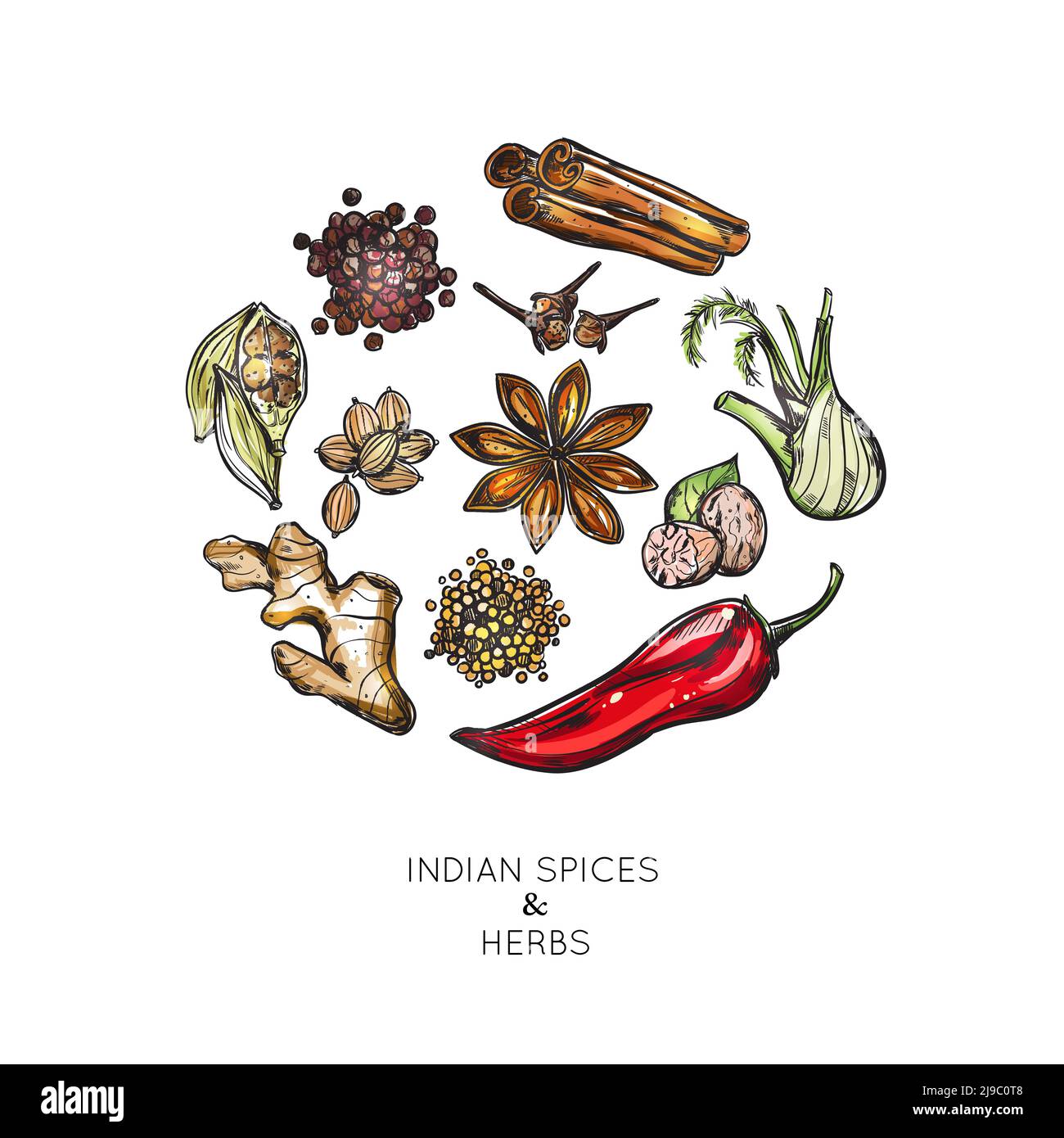 Indian spices herbs composition with isolated colored icon set combined ...