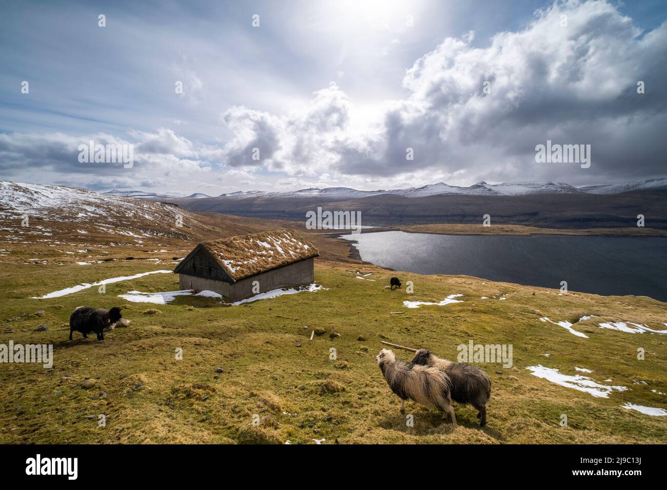 This remote shepherds hut resting on a grassy hillside enjoys an ...