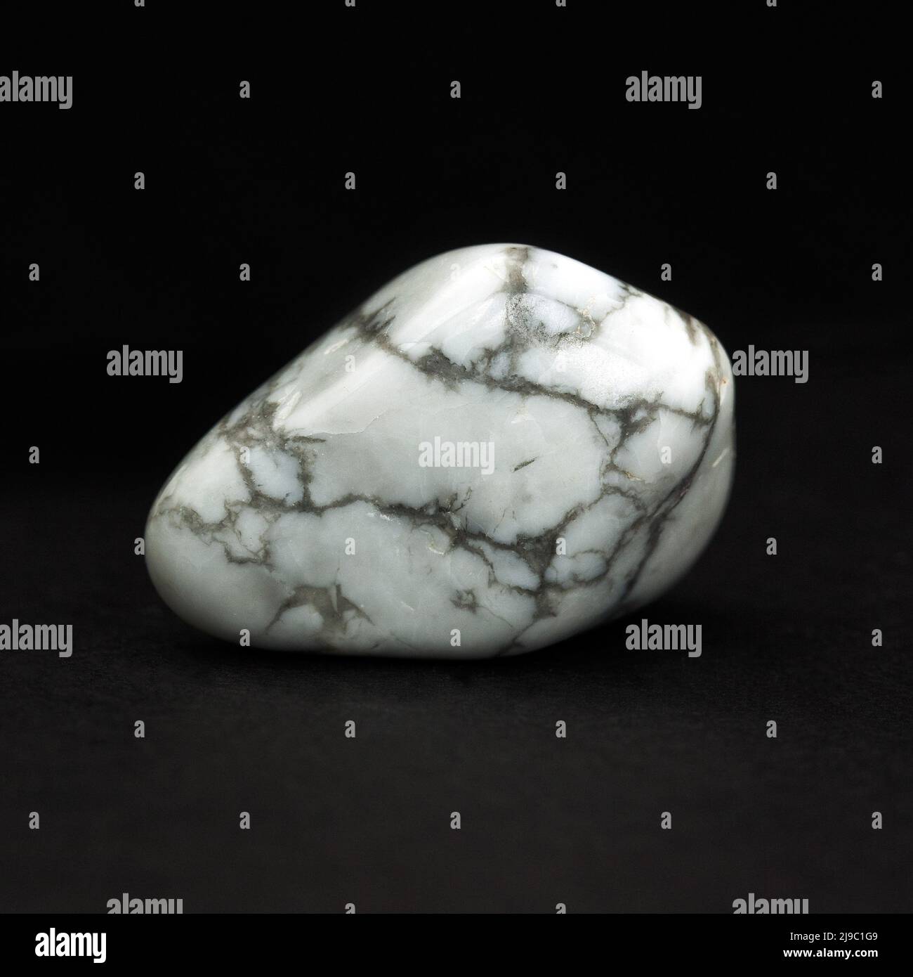 Macro close up colour photograph of a polished " Howlite " a semi ...