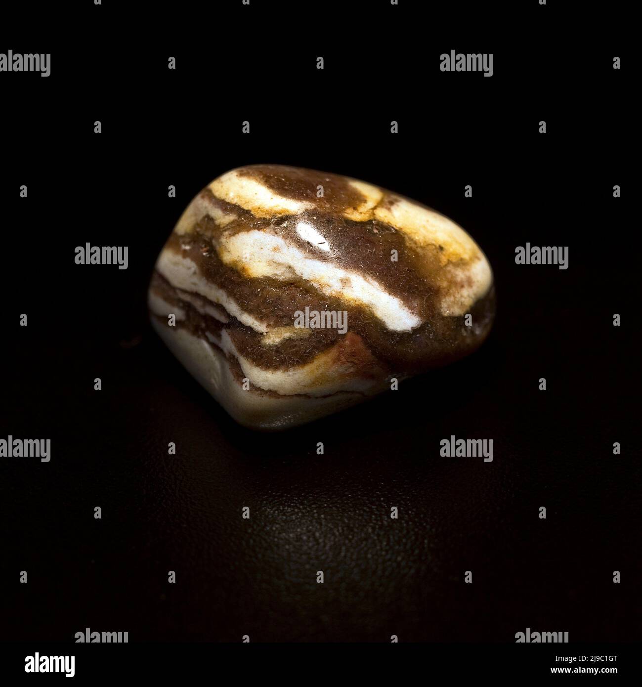 Macro close up colour photograph of a polished Brown Zebra Jasper a ...
