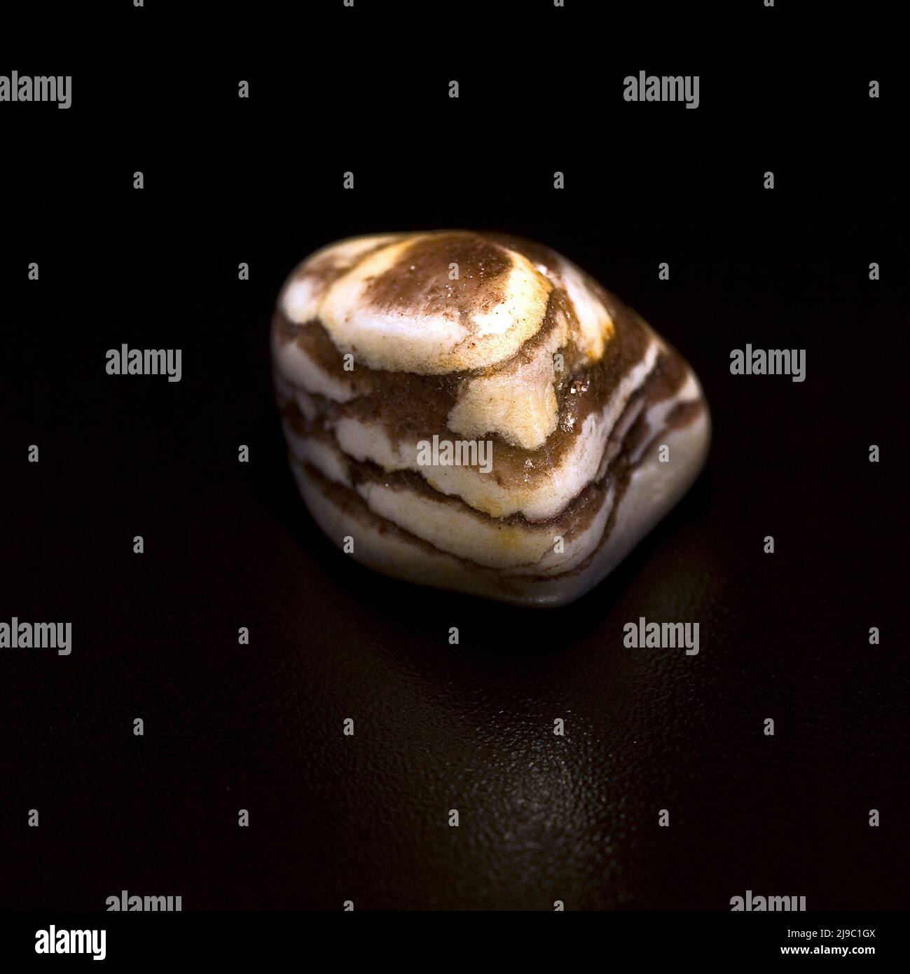 Macro close up colour photograph of a polished Brown Zebra Jasper a ...