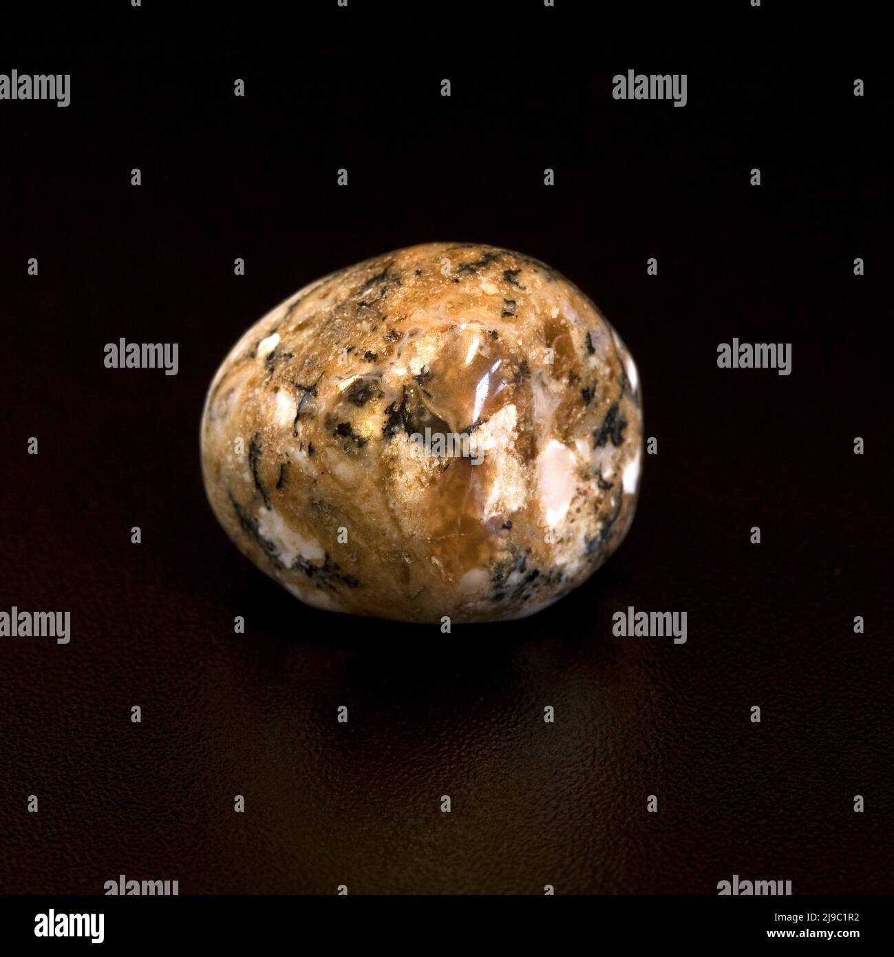 Macro close up colour photograph of a polished 'Merlinite' a semi ...