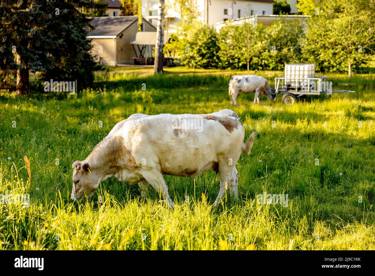 Farming farm grass hi-res stock photography and images - Alamy
