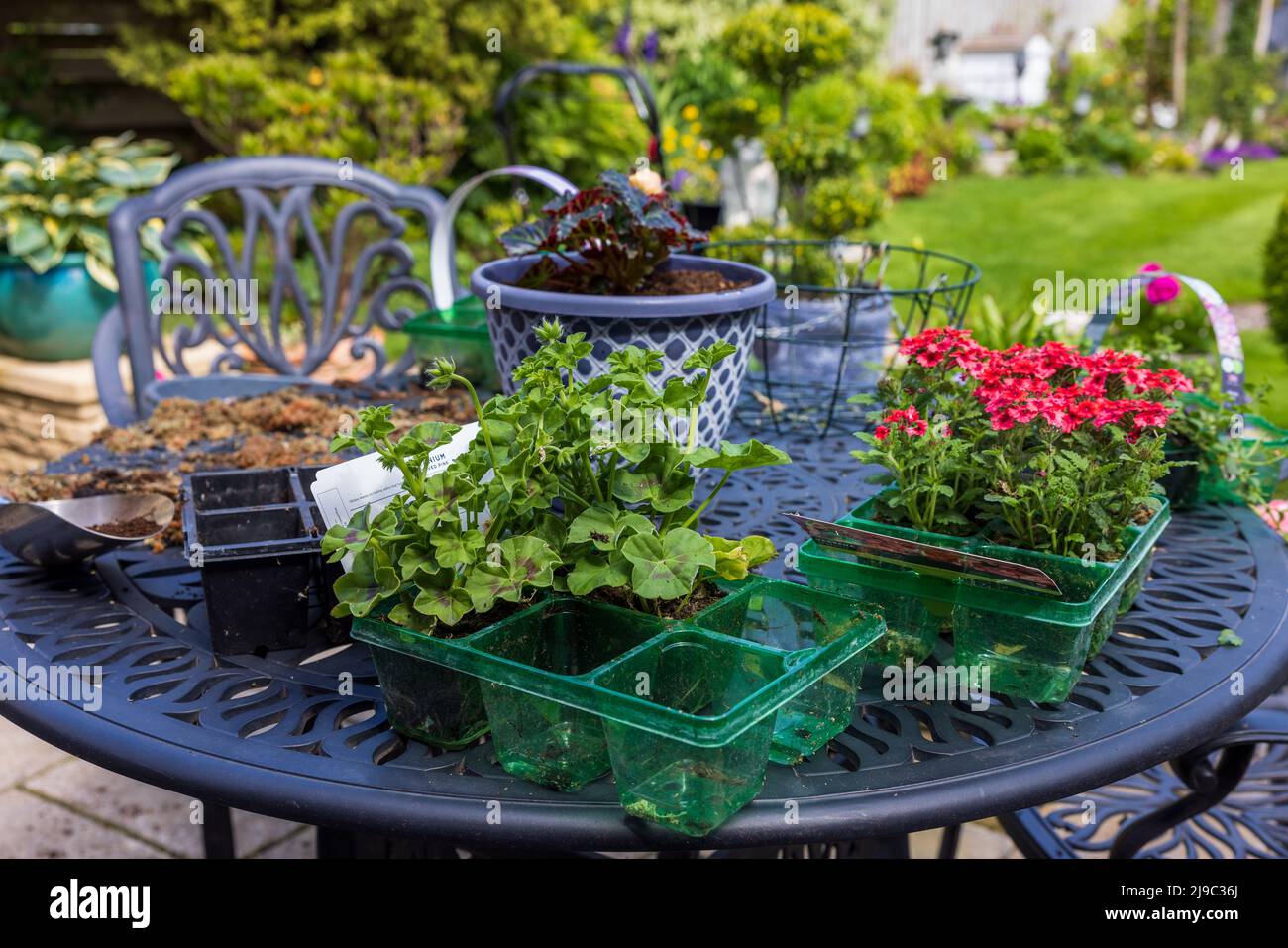 Pots geraniums hanging on hi-res stock photography and images - Alamy