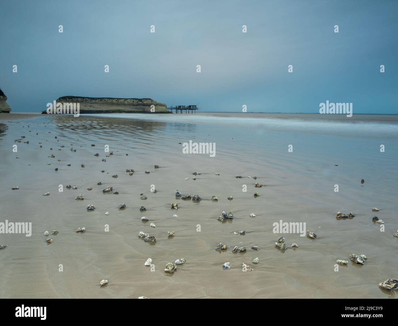Oysters shells on beach on a rainy day on Atlantic coast of Charente ...