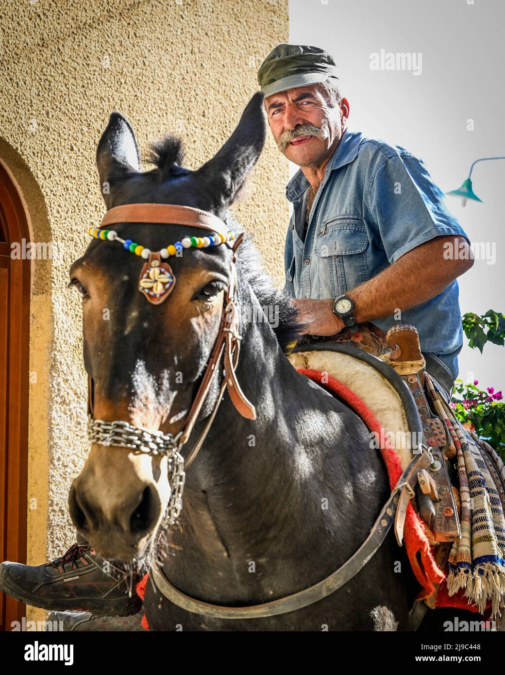 A mule driver delivering wood in Ano Syros Stock Photo - Alamy