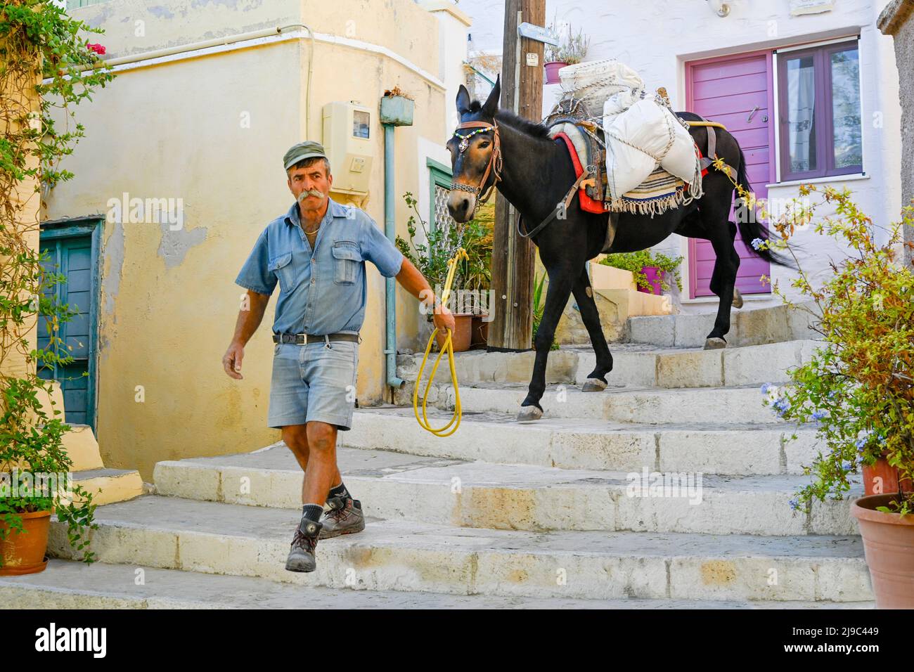 A mule driver delivering wood in Ano Syros Stock Photo - Alamy