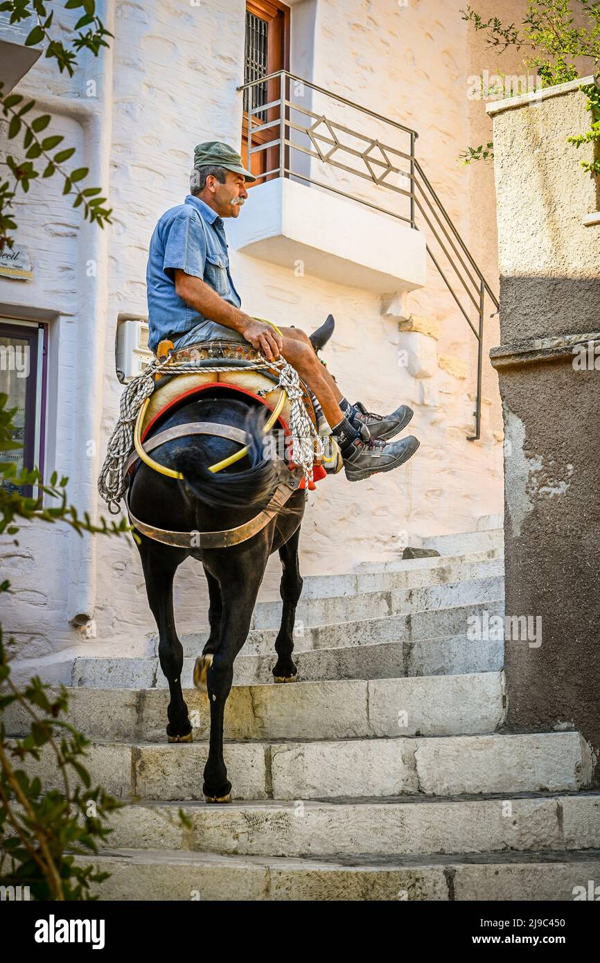A mule driver delivering wood in Ano Syros Stock Photo - Alamy