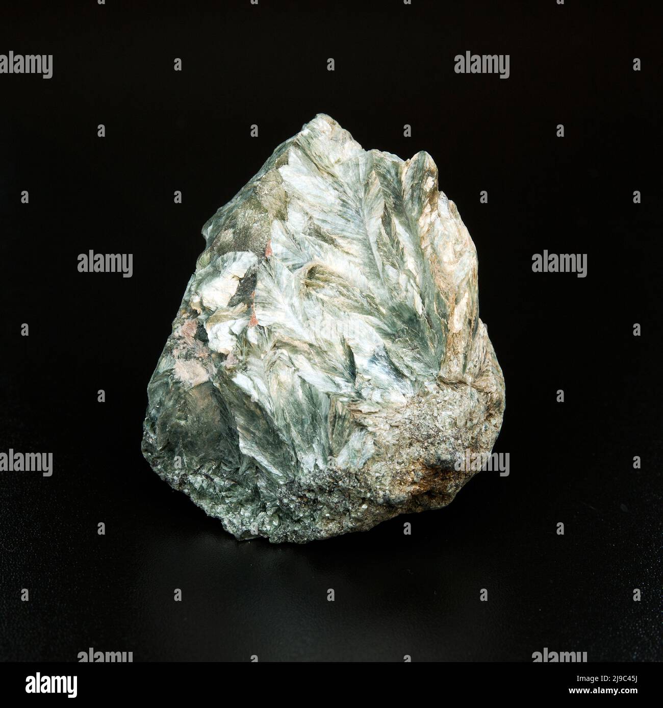 Macro close up colour photograph of a natural " Seraphinite" a semi ...