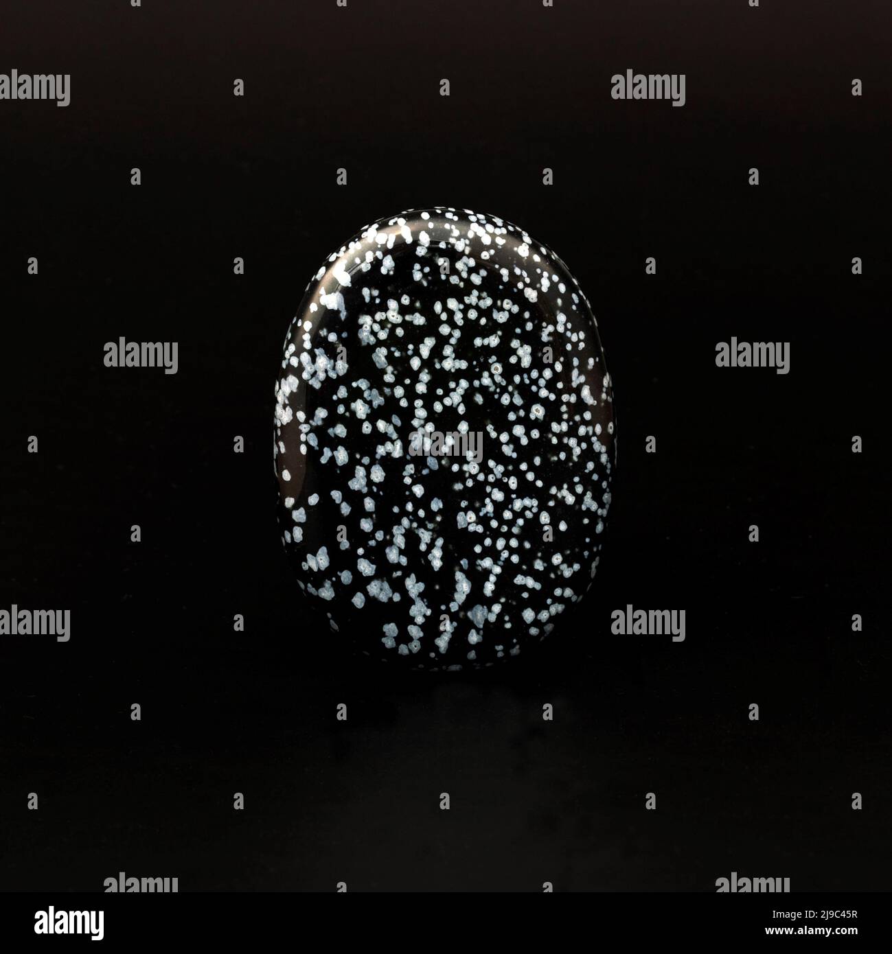 Macro close up colour photograph of 'Palmstone' Snowflake Obsidian a ...