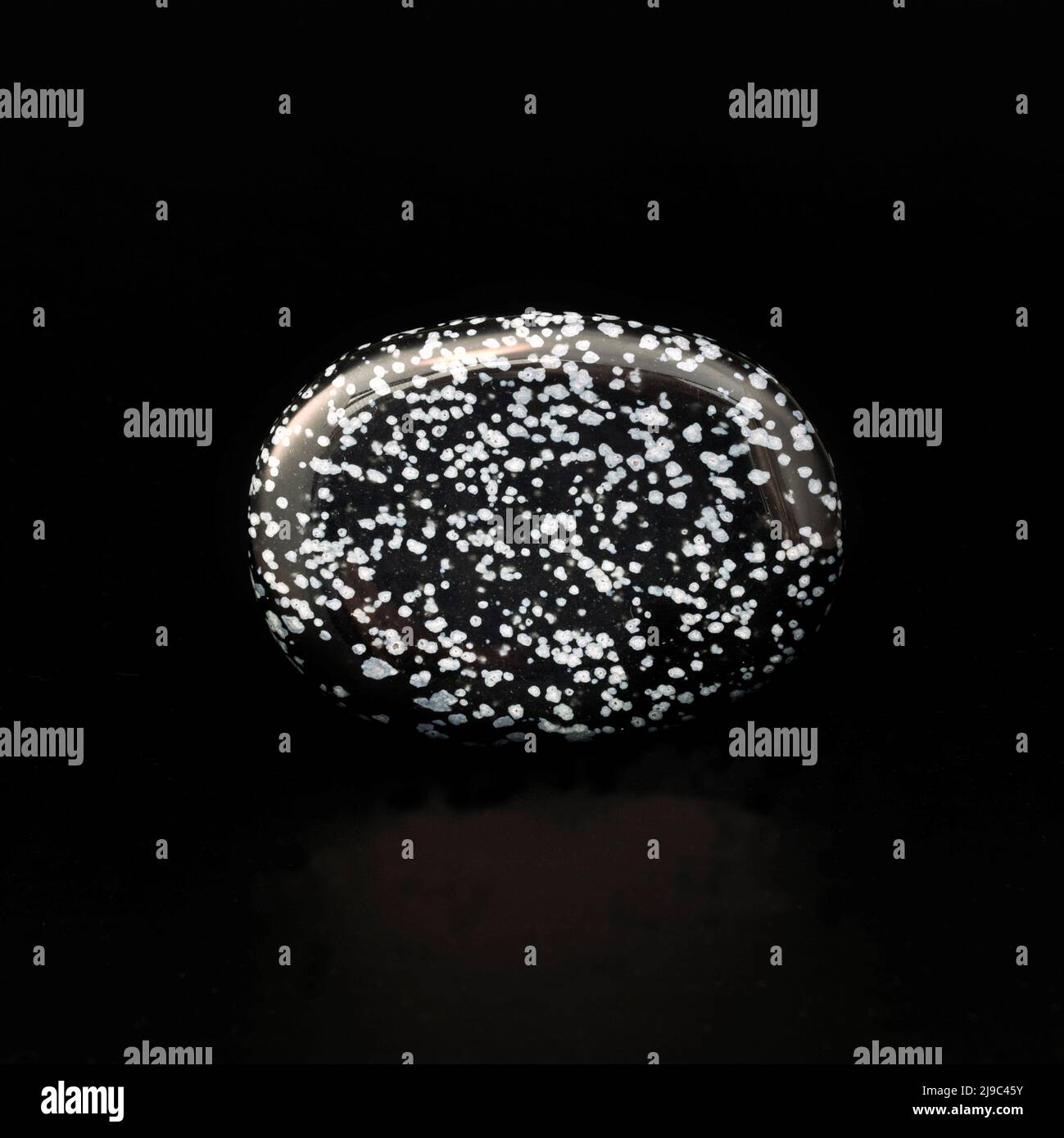 Macro close up colour photograph of 'Palmstone' Snowflake Obsidian a ...