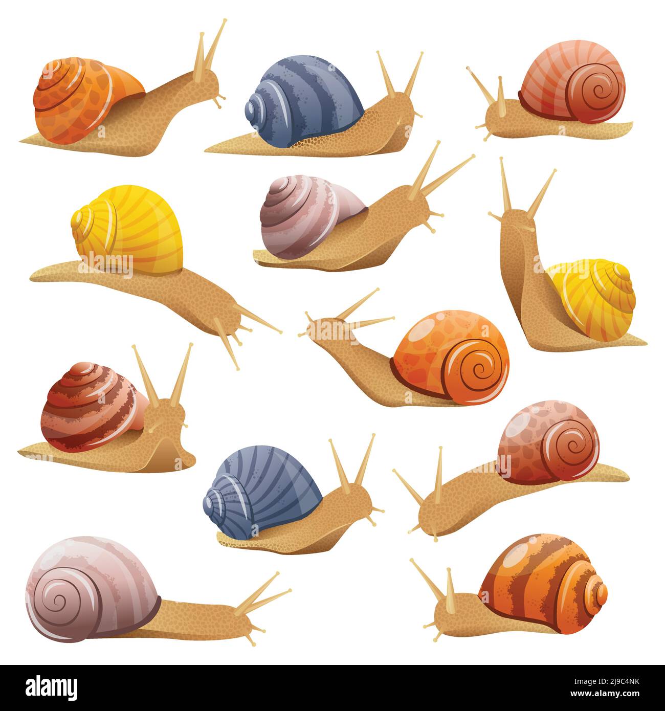Set of isolated drawn snails of different behavior shell colours in ...