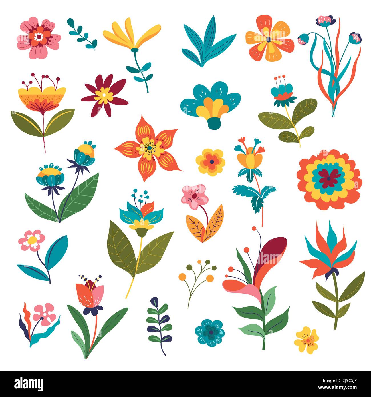 Flowers and botany, flora and blossom wildflower Stock Vector Image ...