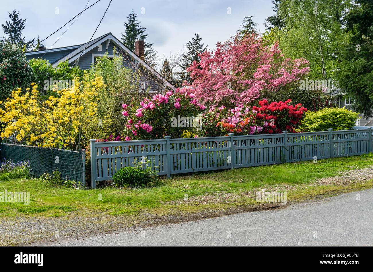 Lush front yard hi-res stock photography and images - Alamy