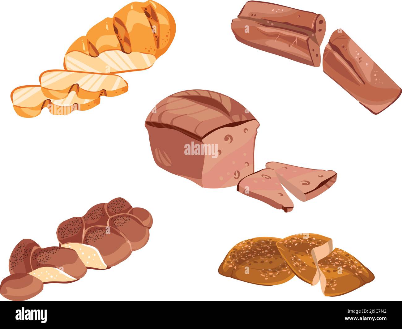 Colorful sketch bakery products collection with sliced whole wheat and ...