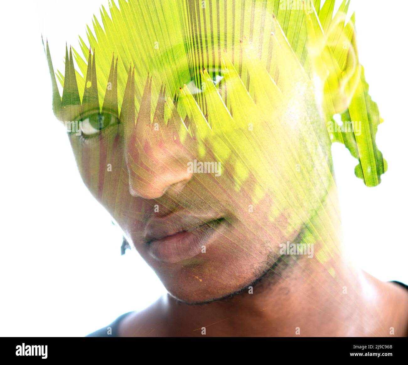 Sharp edges of a palm leaf and a portrait of a man Stock Photo - Alamy