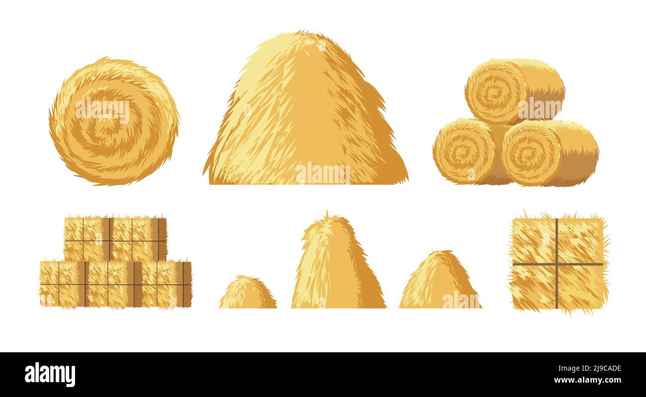 Square bale hay agriculture Stock Vector Images - Alamy