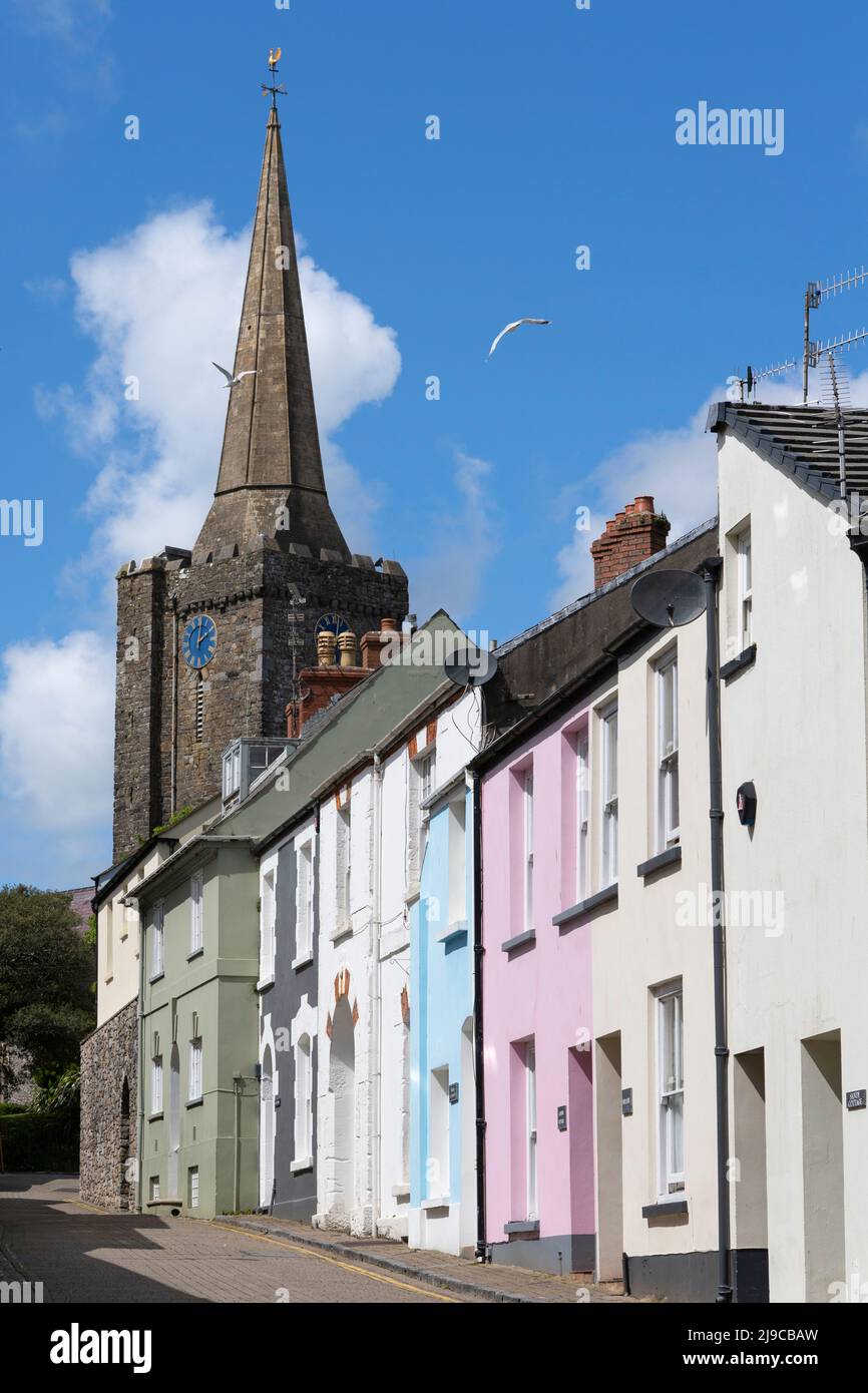 Seagulls flying by St Marys Church clock tower and spire with pastel ...
