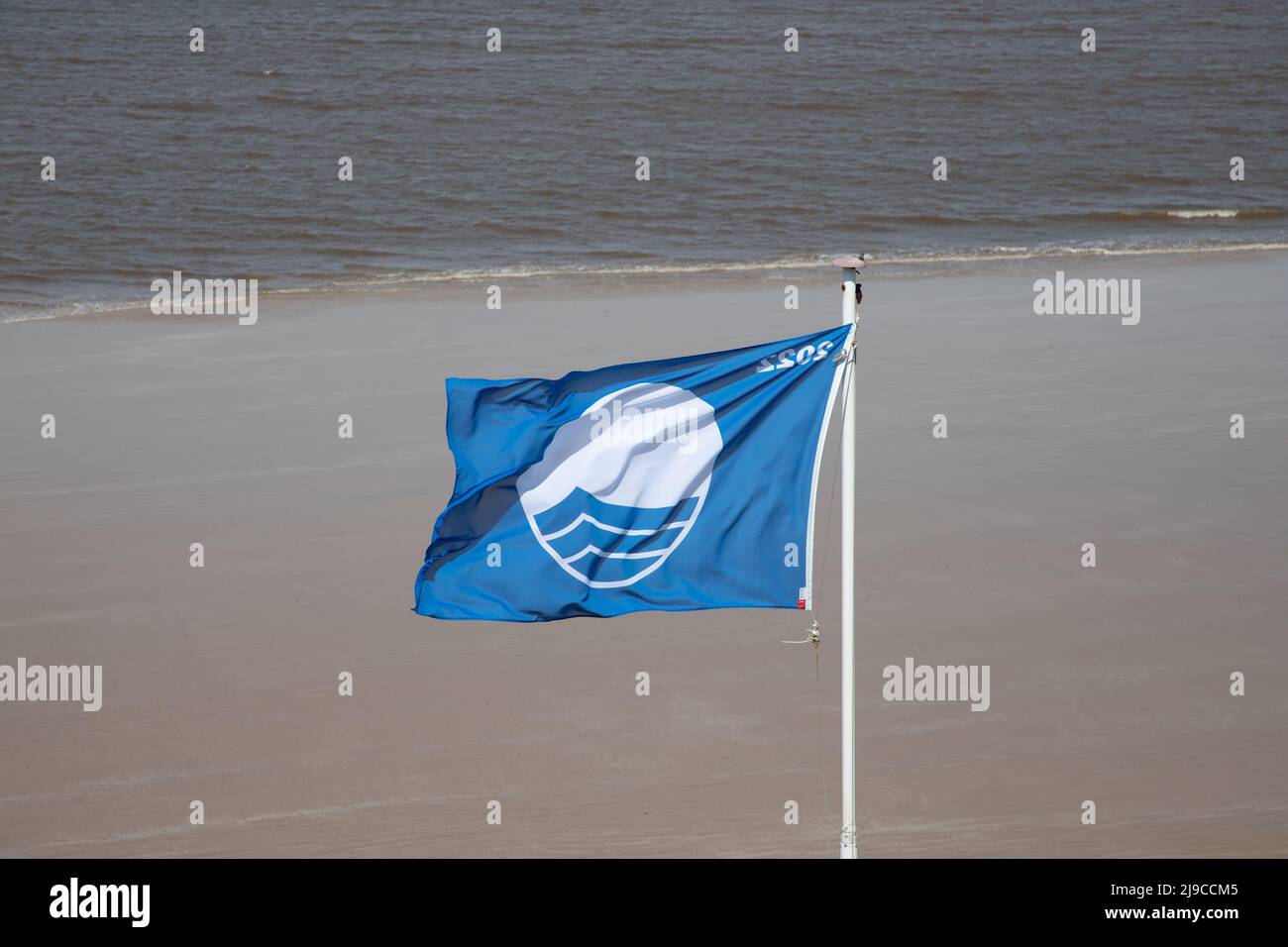 Blue flag hi-res stock photography and images - Alamy
