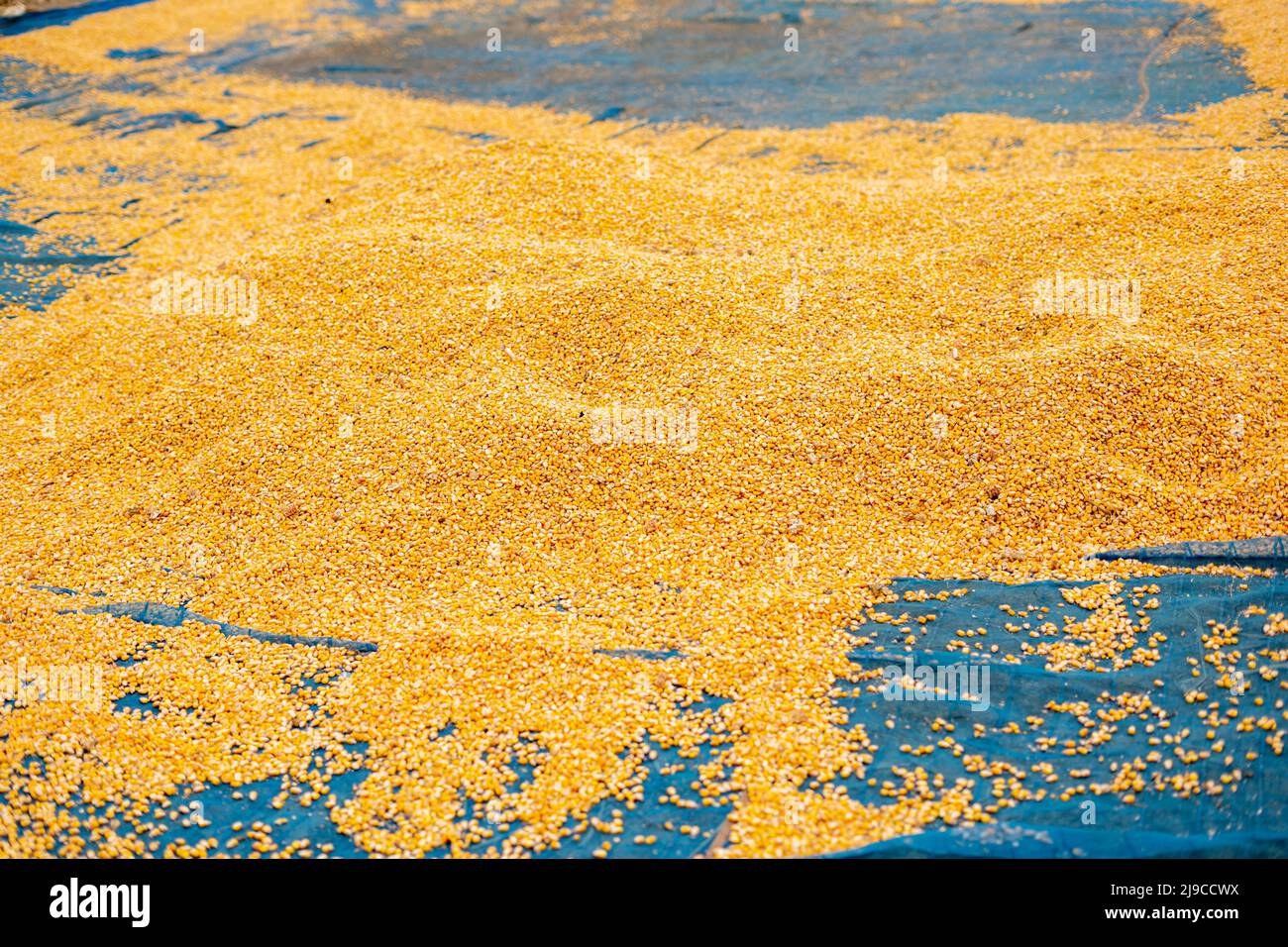 Corner bakery hi-res stock photography and images - Alamy