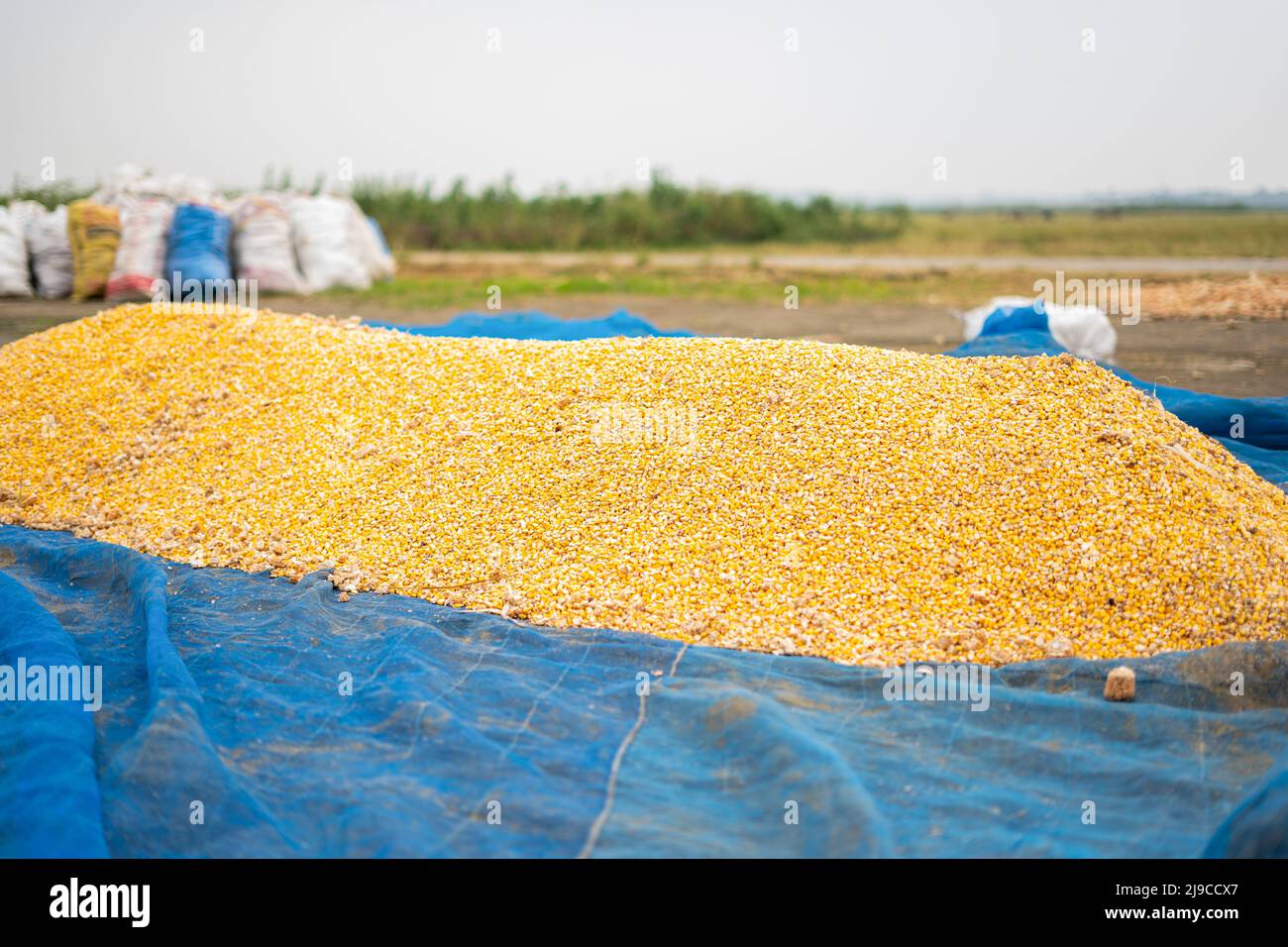 Corner bakery hi-res stock photography and images - Alamy