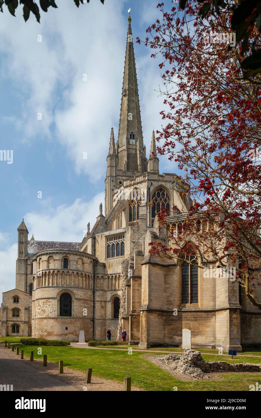 Spring afternoon at Norwich Cathedral Stock Photo - Alamy