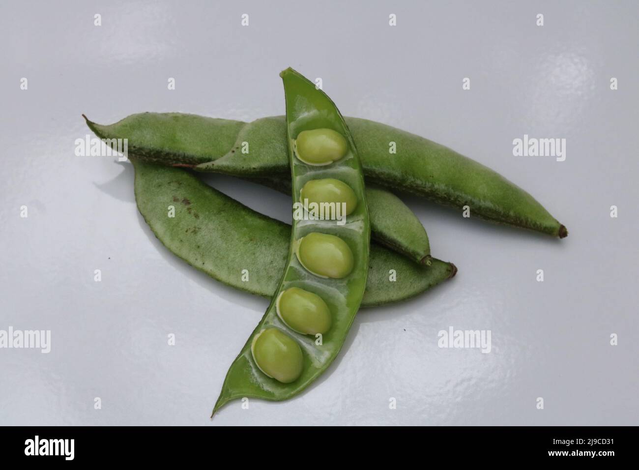 Lima bean seed hi-res stock photography and images - Alamy