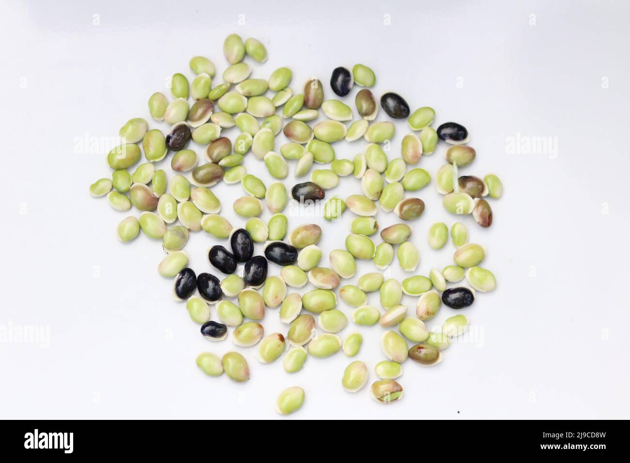 Fresh and healthy lima beans vegetables isolated, Beautiful fresh green ...