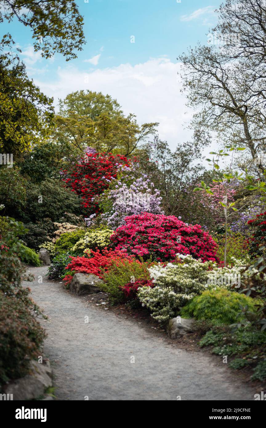 Garden with blooming trees during spring time Stock Photo - Alamy