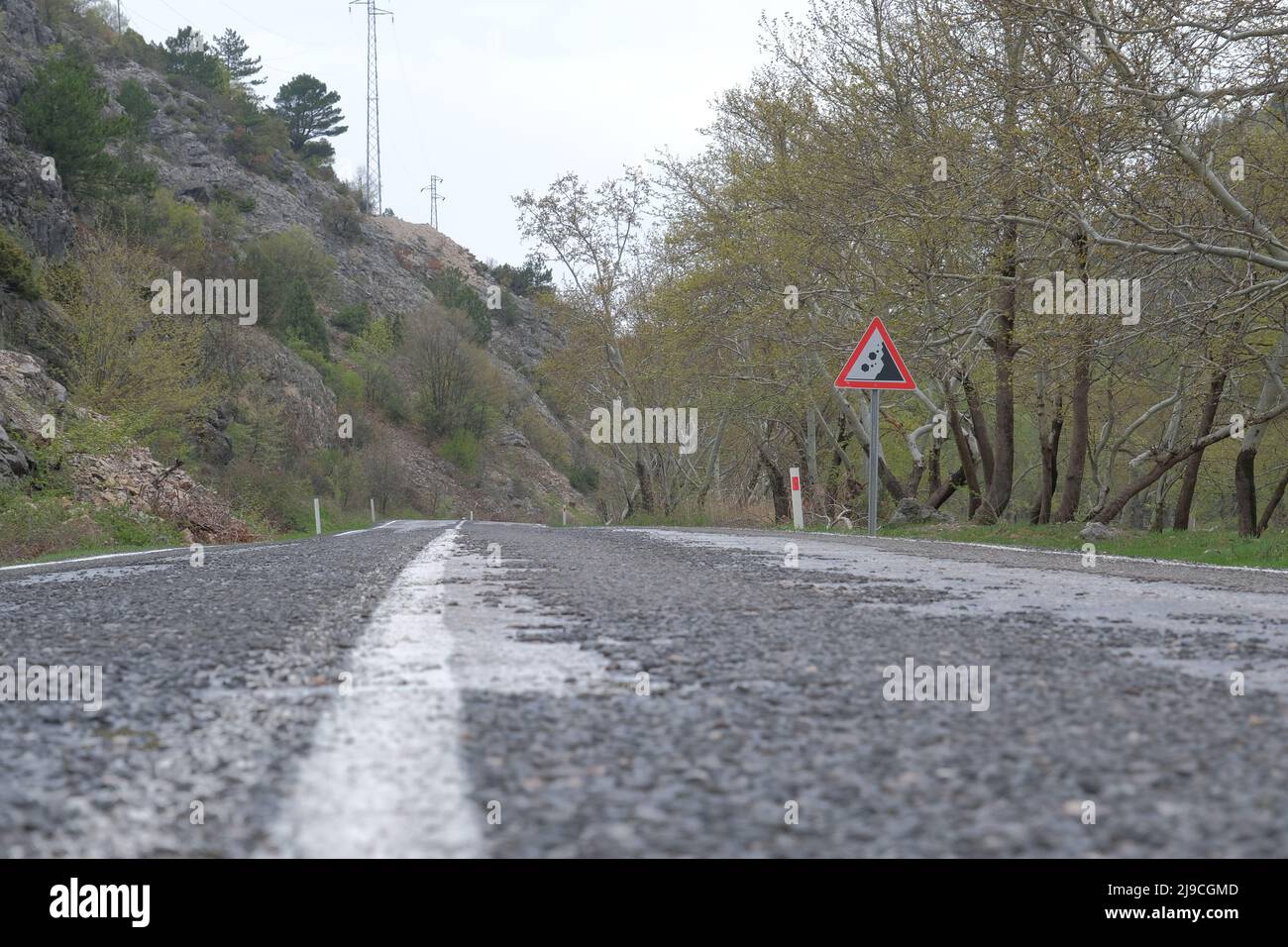 road with green leaves on the background of the forest. Single road ...