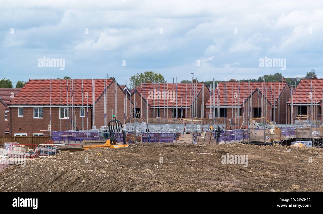 Harron hi-res stock photography and images - Alamy