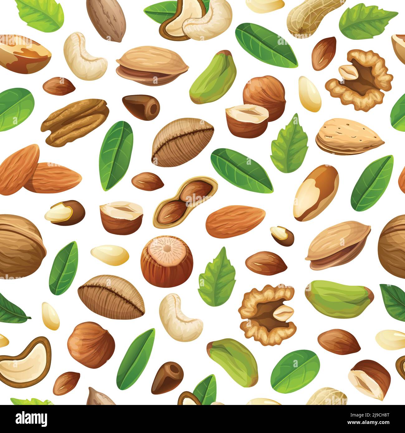 Different sort of nuts Stock Vector Images - Alamy