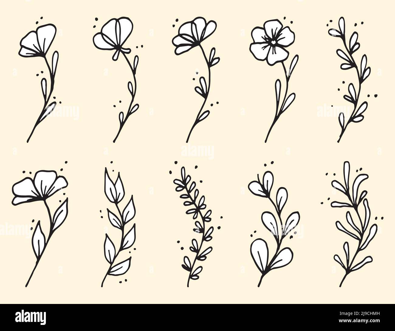 Set of Hand drawn doodle vector leaves and branches. Collection of tree ...