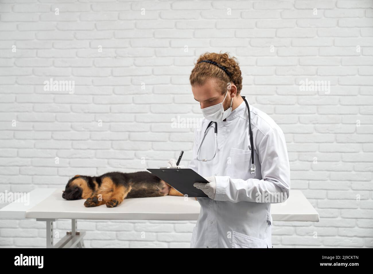 Side view of veterinary doctor in lab coat, protective mask and gloves ...