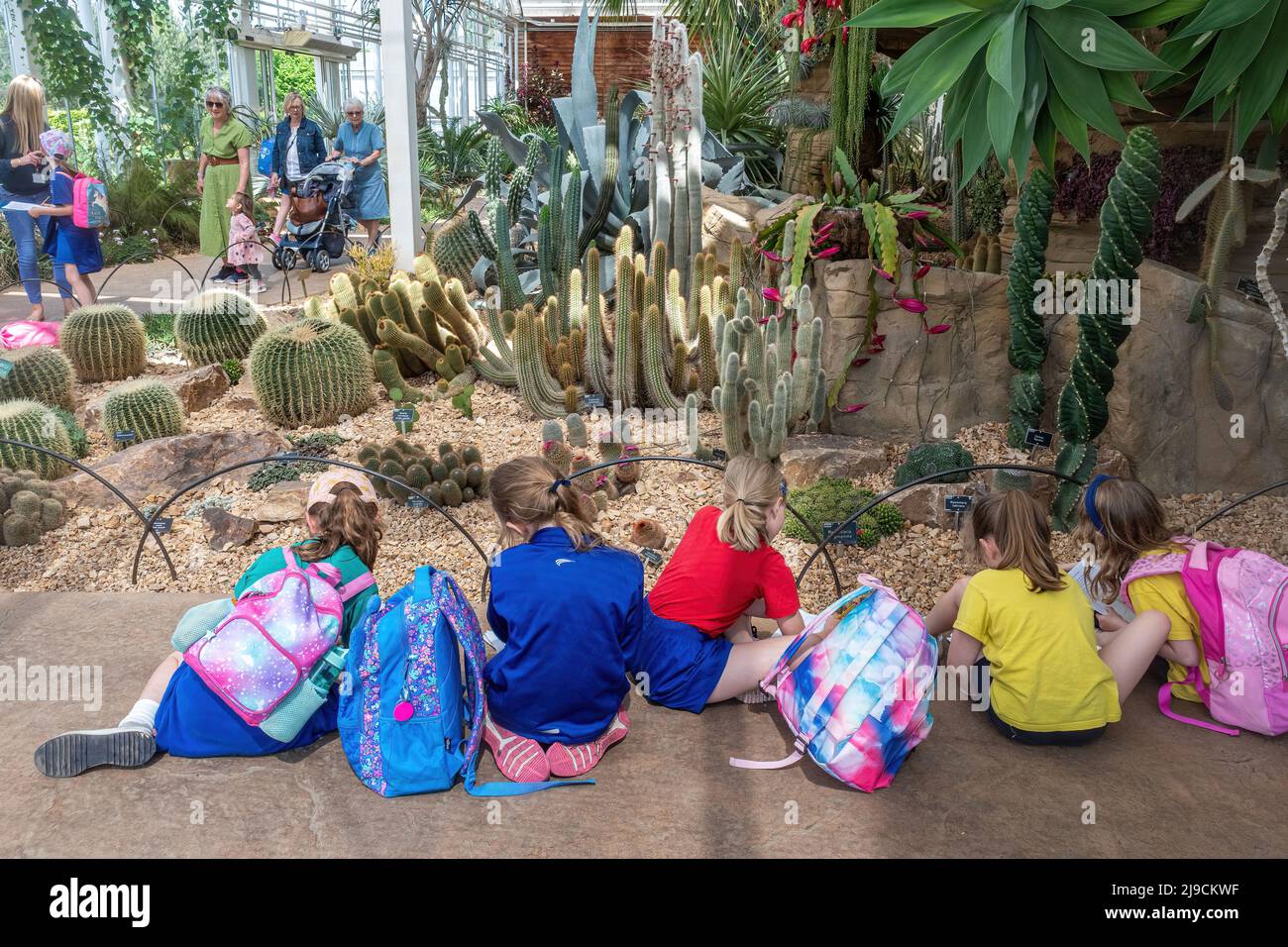 Wisley glasshouse cacti hi-res stock photography and images - Alamy